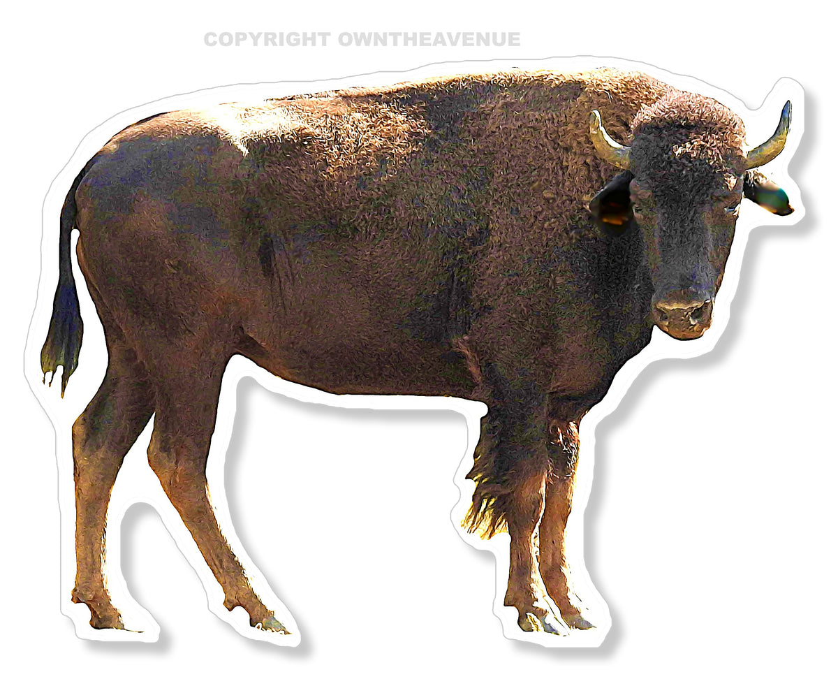 American Bison Animal Car Truck Window Bumper Laptop Cup Cooler Sticker ...