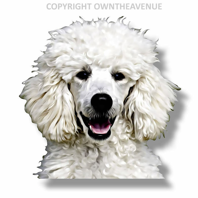 Poodle Dog Animal Puppy Peeking Vinyl Die Cut Car Window Bumper Decal ...